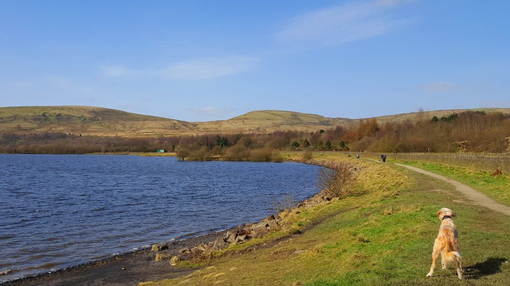 Things to do - CalmWater Hideaway